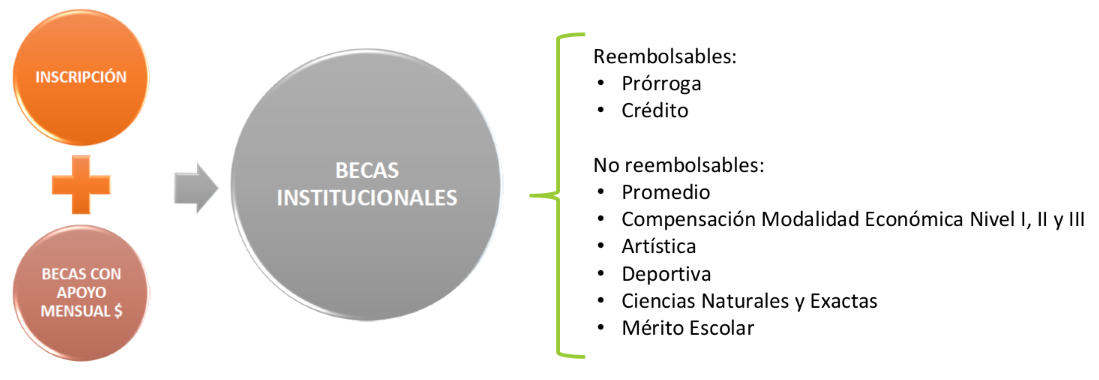 BECAS – FACULTAD DE CIENCIAS QUÍMICAS E INGENIERÍA